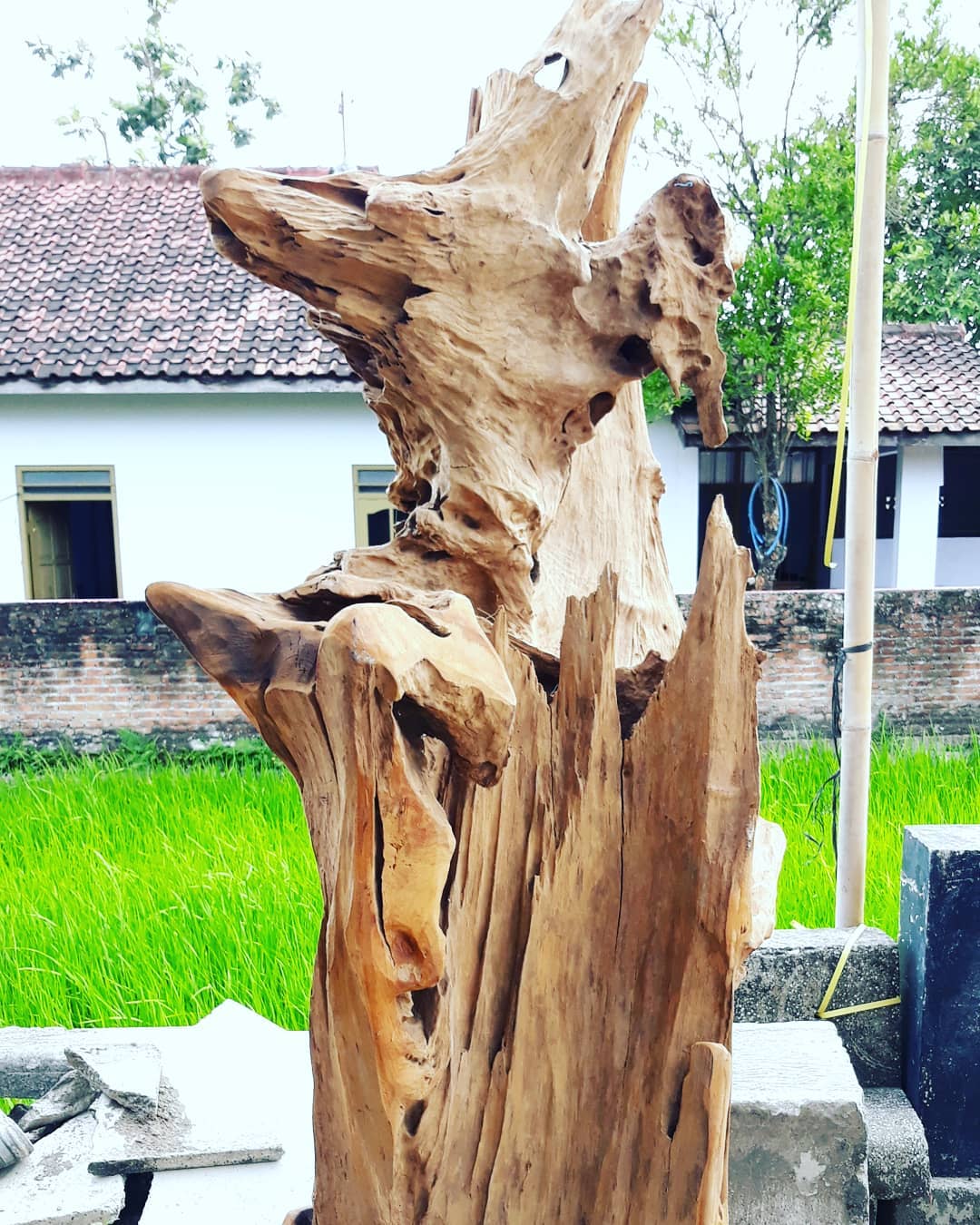 Teak Root Erosion - GRC Buddha Statue - Concrete Fountain - Stone ...